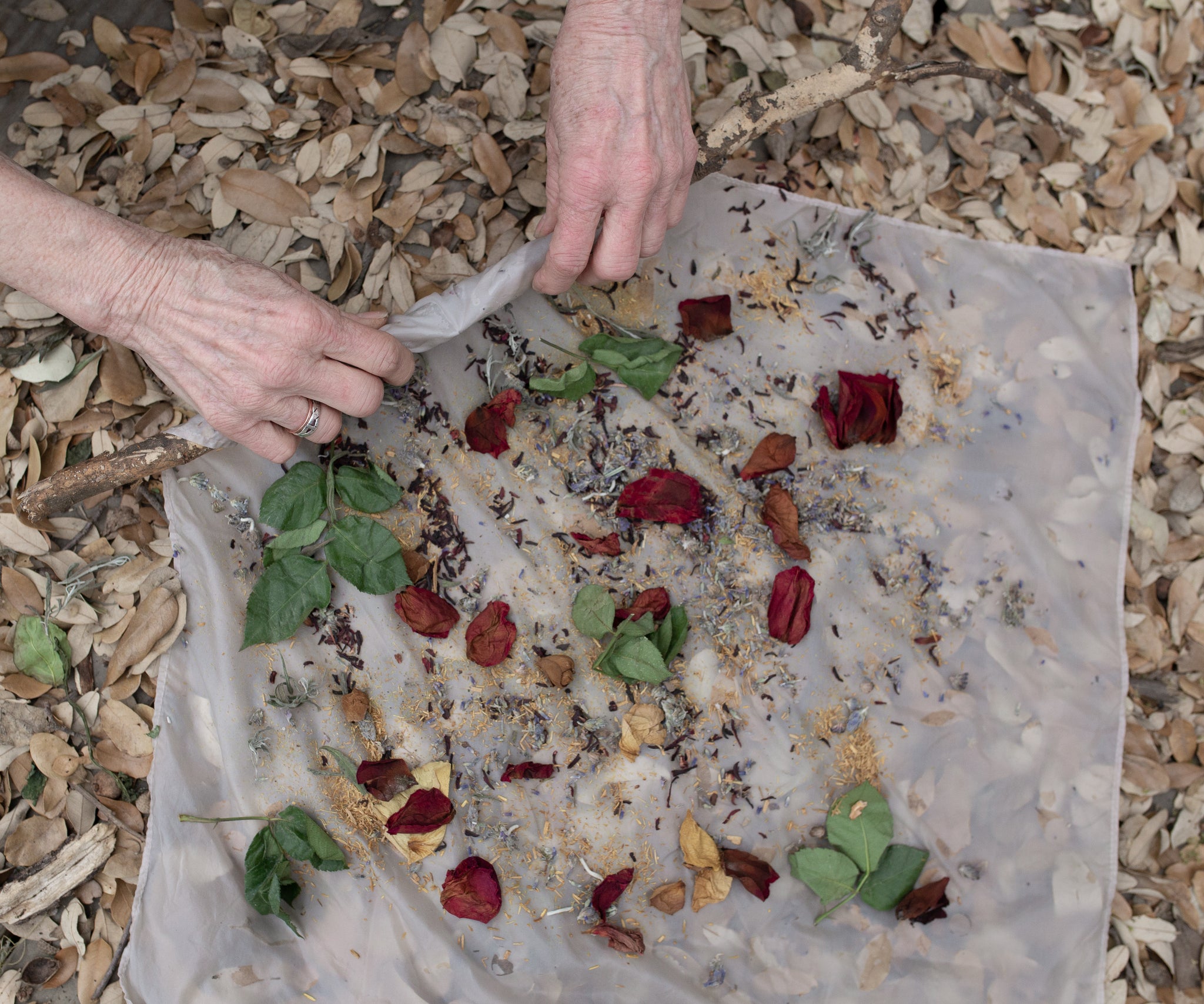 Natural Dye DIY: Roses – Soul Studio Austin